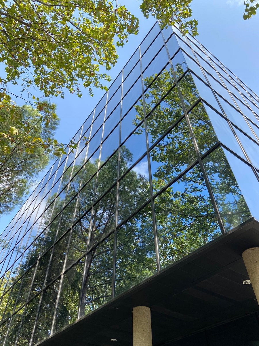 Conoce cómo funciona el Programa de Alquiler Social con Acompañamiento de Sareb - Sareb