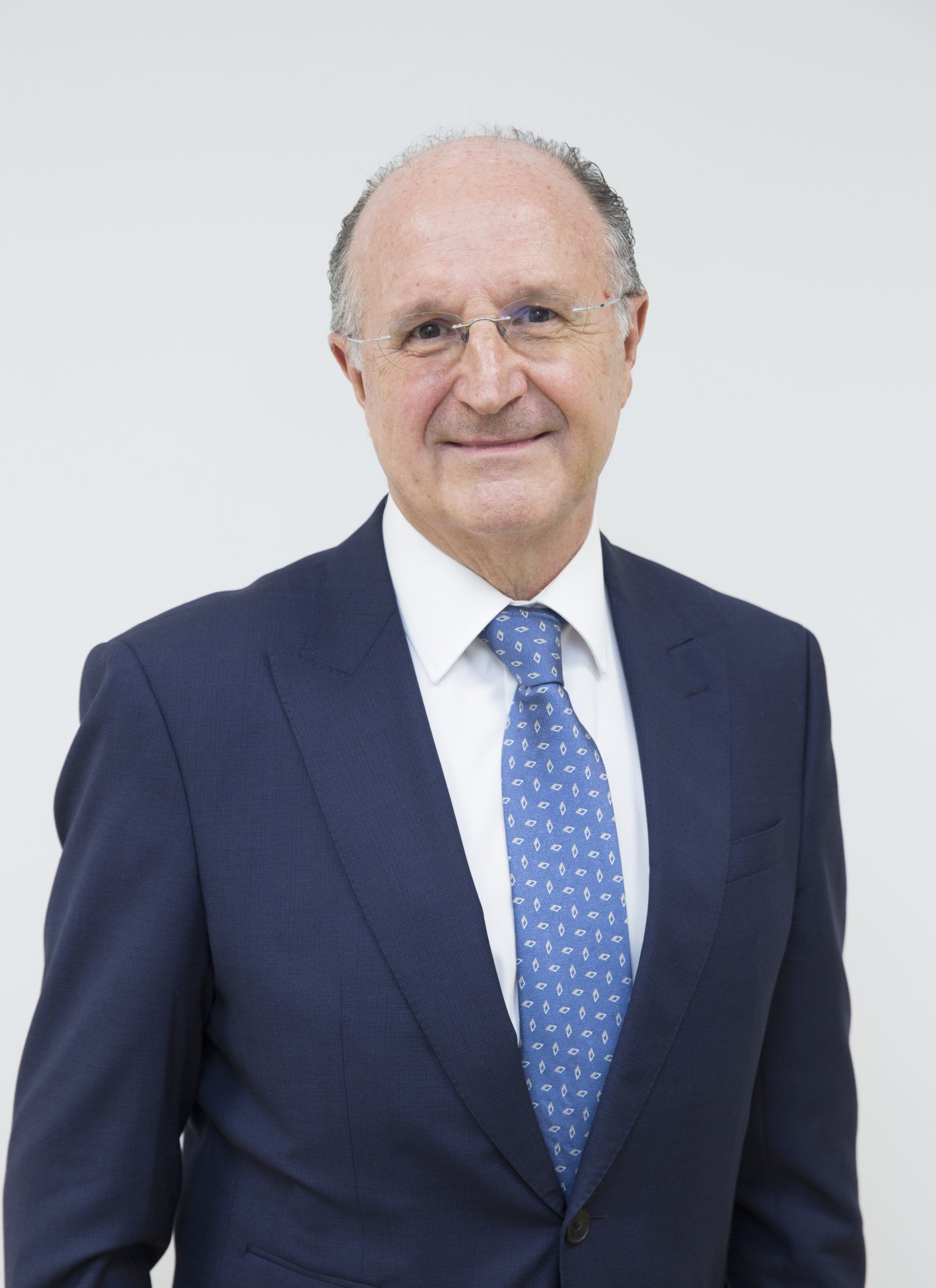 Julián Navarro - Sareb